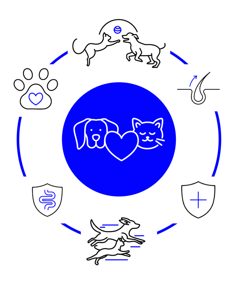 Zinpro® ProPath® - Zinpro Pet